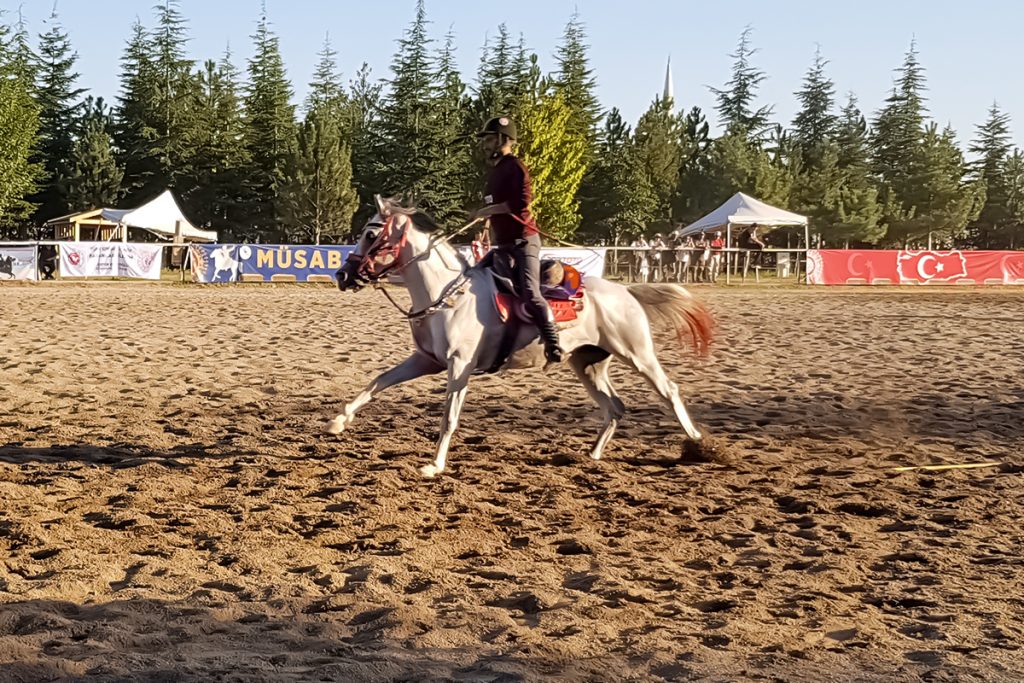 Atlı Cirit 1.Lige Yükselme B Grubu Müsabakaları – TÜRKİYE GELENEKSEL ...