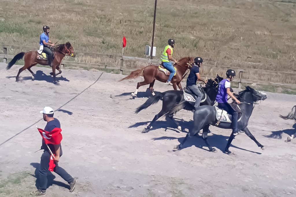 Rahvan Binicilik Müsabakaları – TÜRKİYE GELENEKSEL ATLI SPOR DALLARI ...