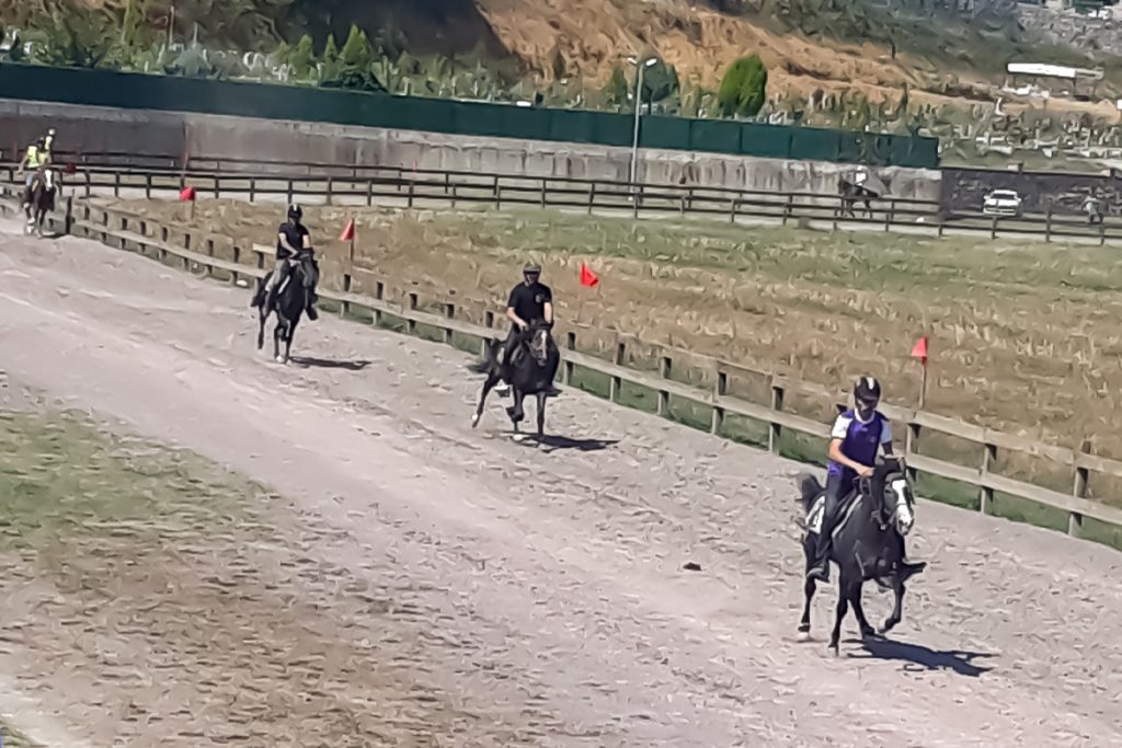Rahvan Binicilik Müsabakaları – TÜRKİYE GELENEKSEL ATLI SPOR DALLARI ...